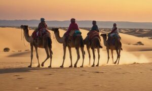 Co to jest karawana w pustyni i w puszczy • Codzienny Ekspert